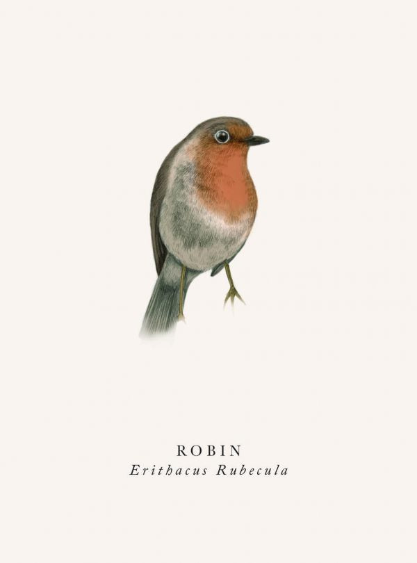 European Robin Card – Featherfields