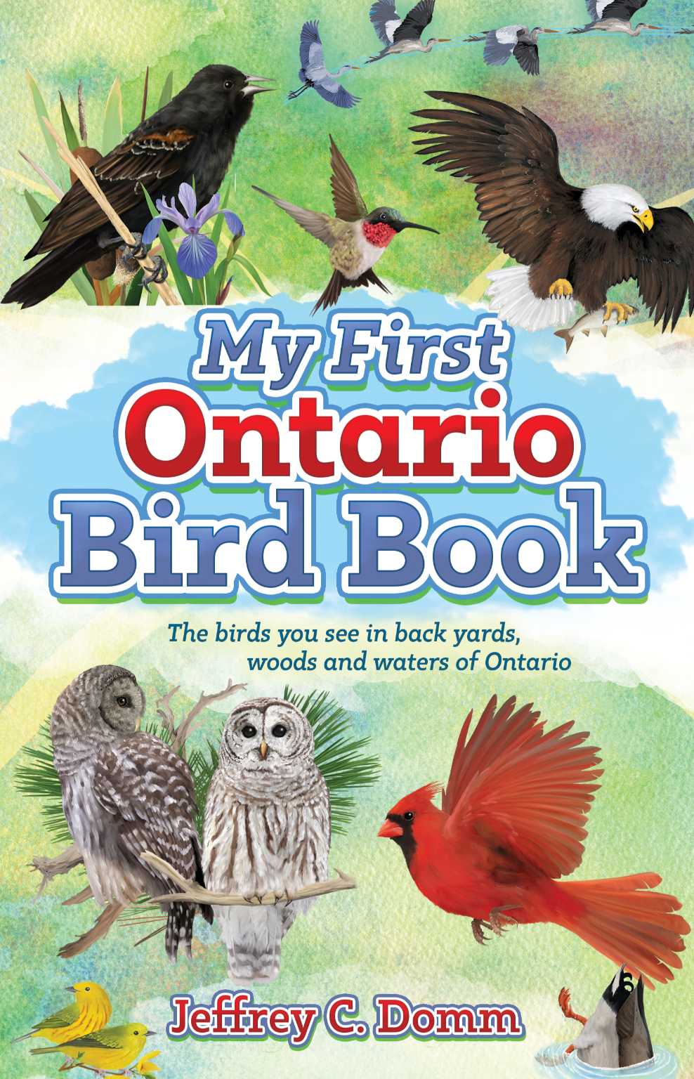 My First Ontario Bird Book by Jeffrey C. Domm – Featherfields