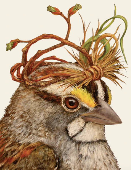 Vicky Sawyer- Caesar Greeting Card – Featherfields